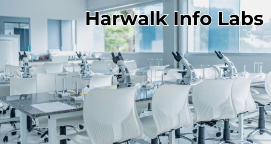Harwalk Info Labs: Leading the Future of IT Solutions